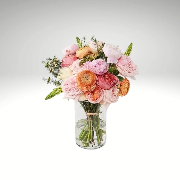 Dewalt Greenhouse in Williamsport, PA | Florists | Memoria Sky